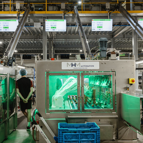 Our Jobs | Rockit Apple